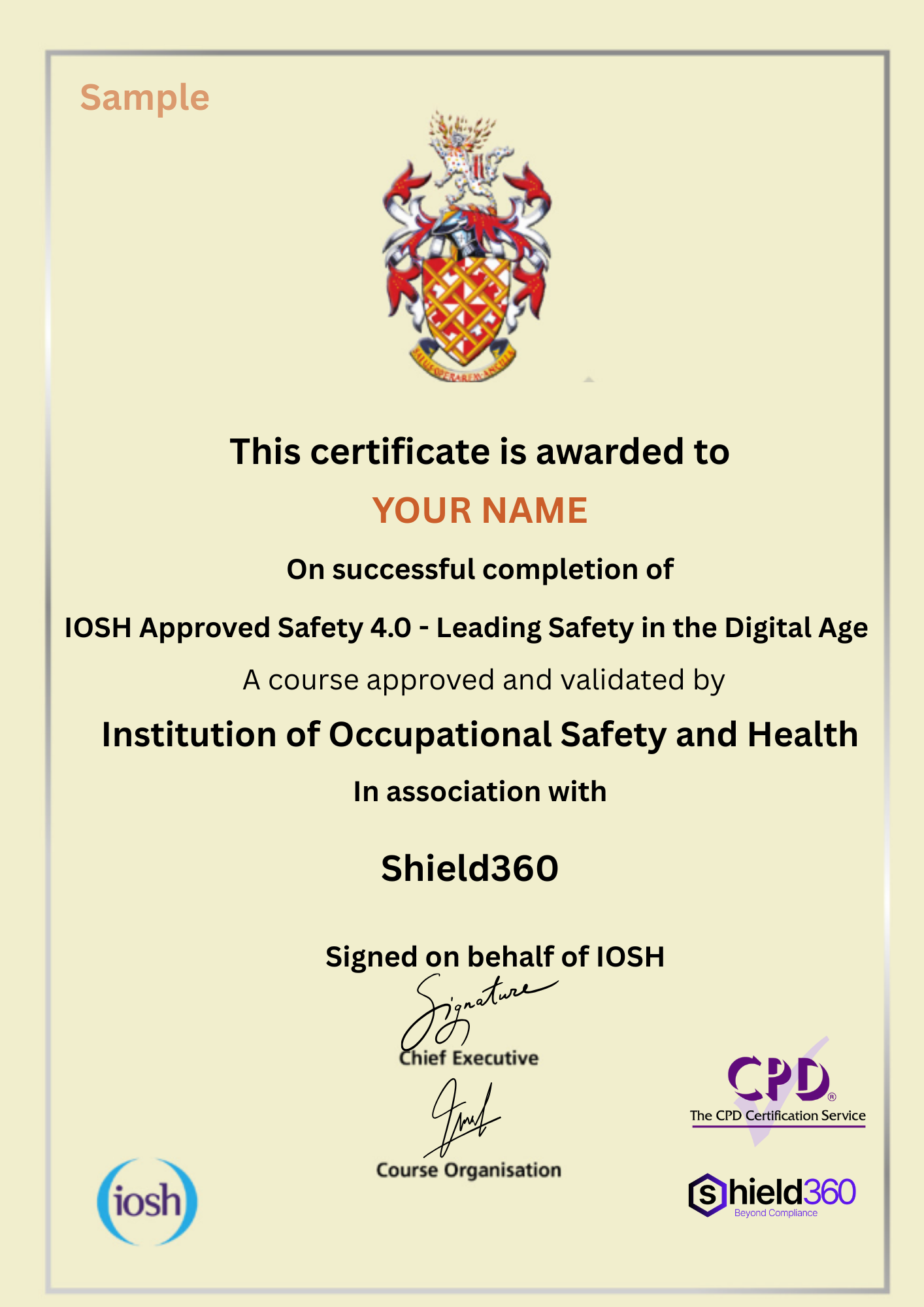 Safety 4.0 Academy — IOSH Approved Digital Safety Leadership Training ...